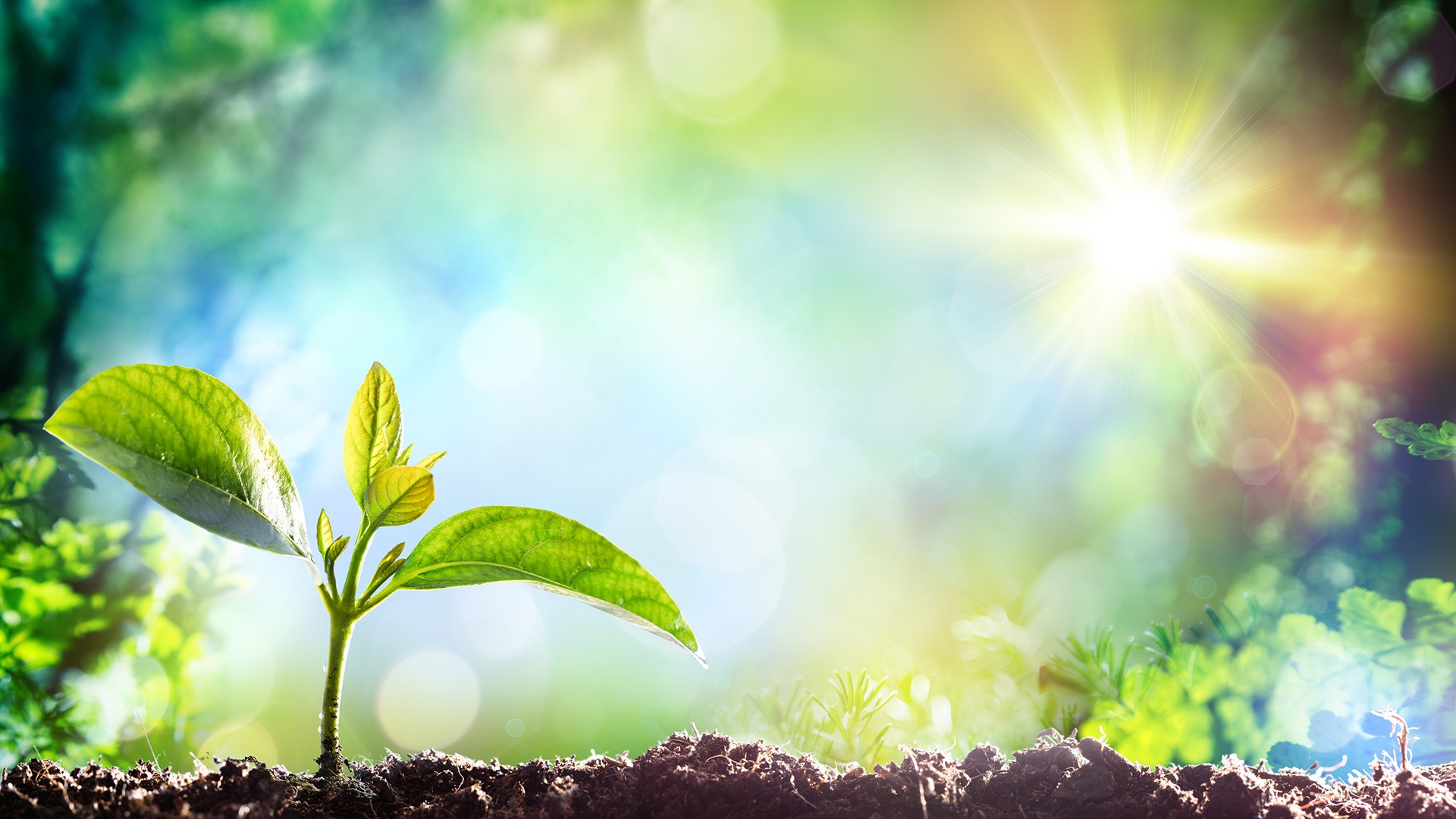 Umwelt - Wellnesshotel